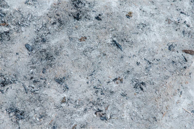 Scorched Earth and Earth Clods are Seen on Dry Land Caused by Drought ...