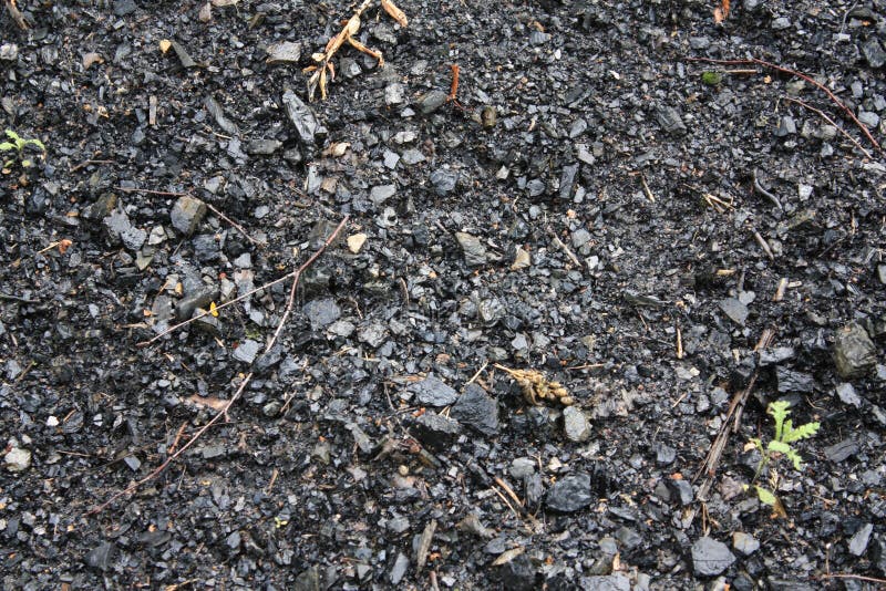 8K Burned Ground Roughness Texture, Height Map or Specular for ...