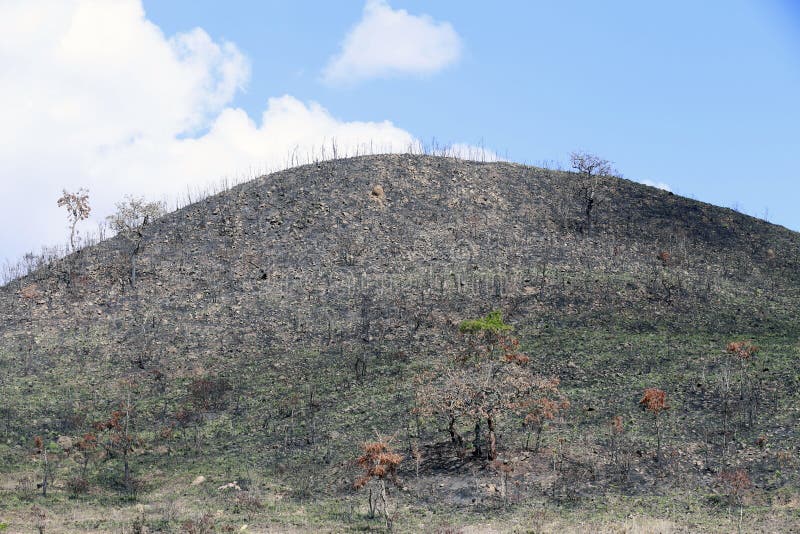 Burned Land stock image. Image of black, logs, devastation - 34072903