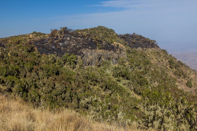 Burned Land after a Wild Fire in Simien Mountains, Ethiop Stock Image ...