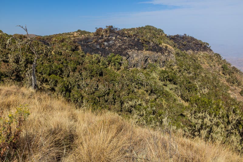 Burned Land after a Wild Fire in Simien Mountains, Ethiop Stock Photo ...