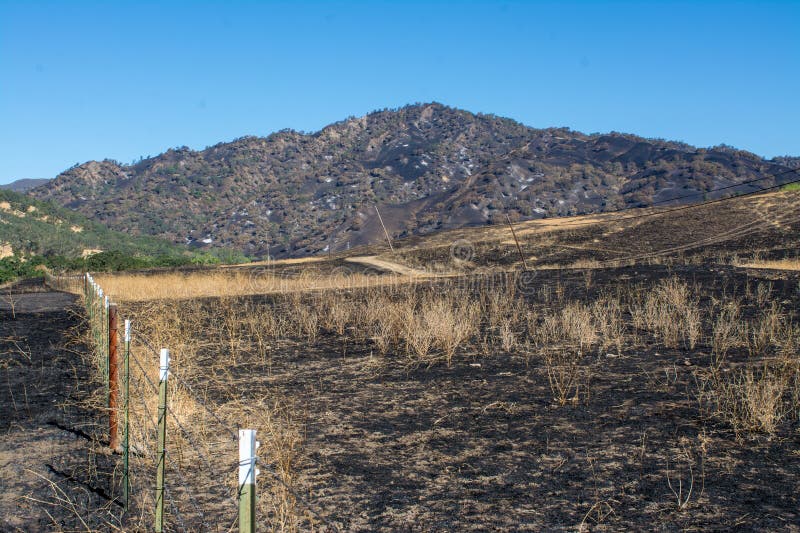Burned Landscape, Mountain Backdrop Stock Photo - Image of natural ...