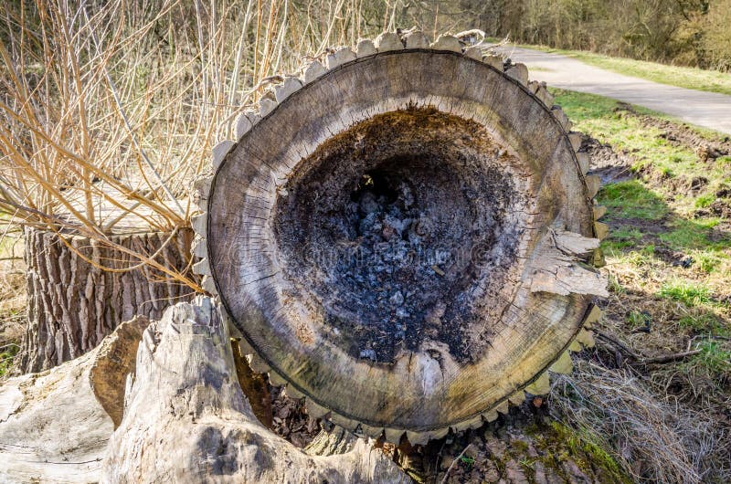 A burned log. stock photo. Image of rural, wood, background - 19249288