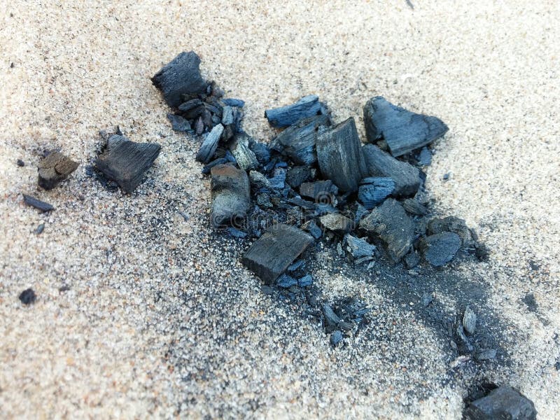 Burned Log on Sand Beach. stock image. Image of picnic - 43114027