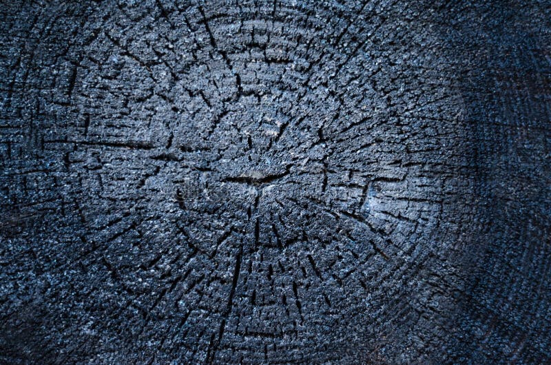 Burned log texture stock photo. Image of closeup, circle - 111397210