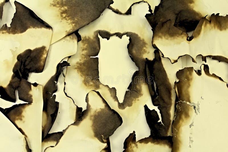 Burned old paper. stock photo. Image of page, ashes, burn - 87581836