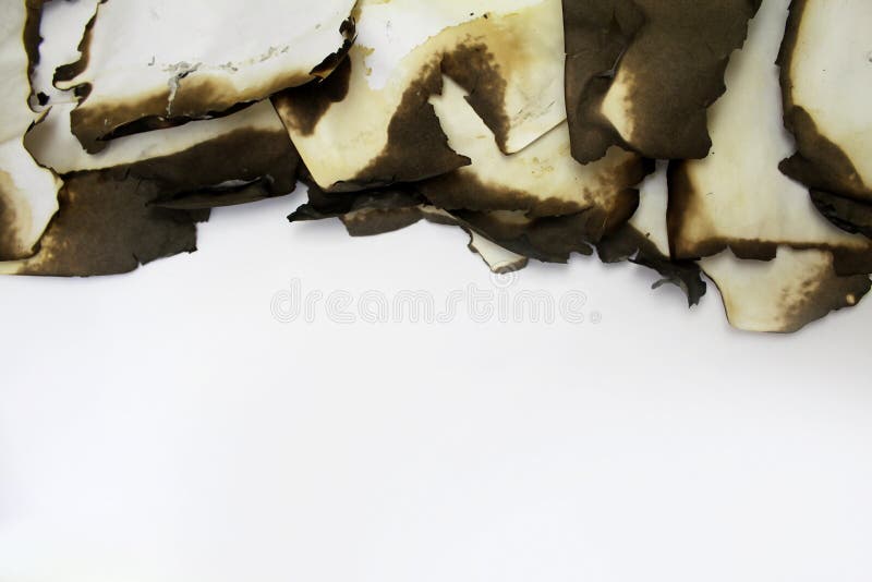 Burned old paper. stock photo. Image of burn, fire, isolated - 87581852