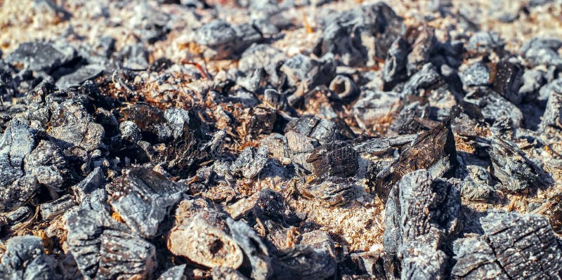 Burned out ashes stock photo. Image of natural, tree - 91840658