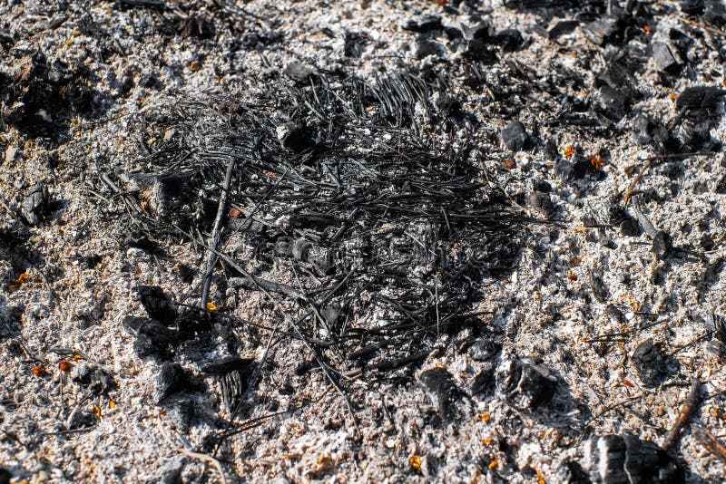 Burned out ashes stock image. Image of white, glow, burned - 92023167