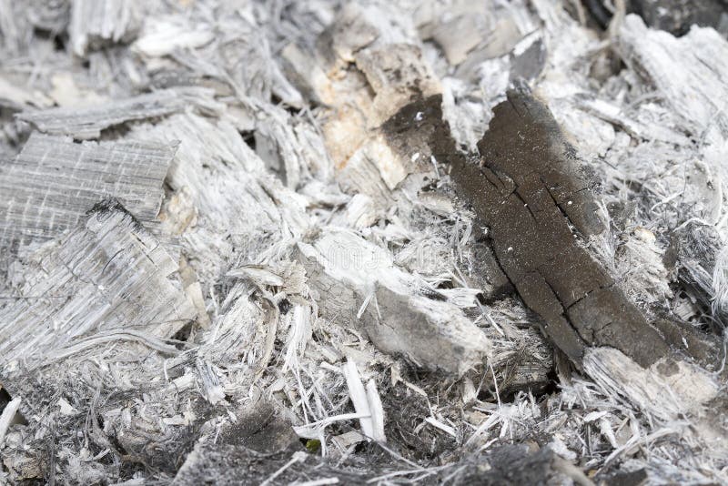 Burned Out Ashes Twigs Grass Stock Photos - Free & Royalty-Free Stock ...