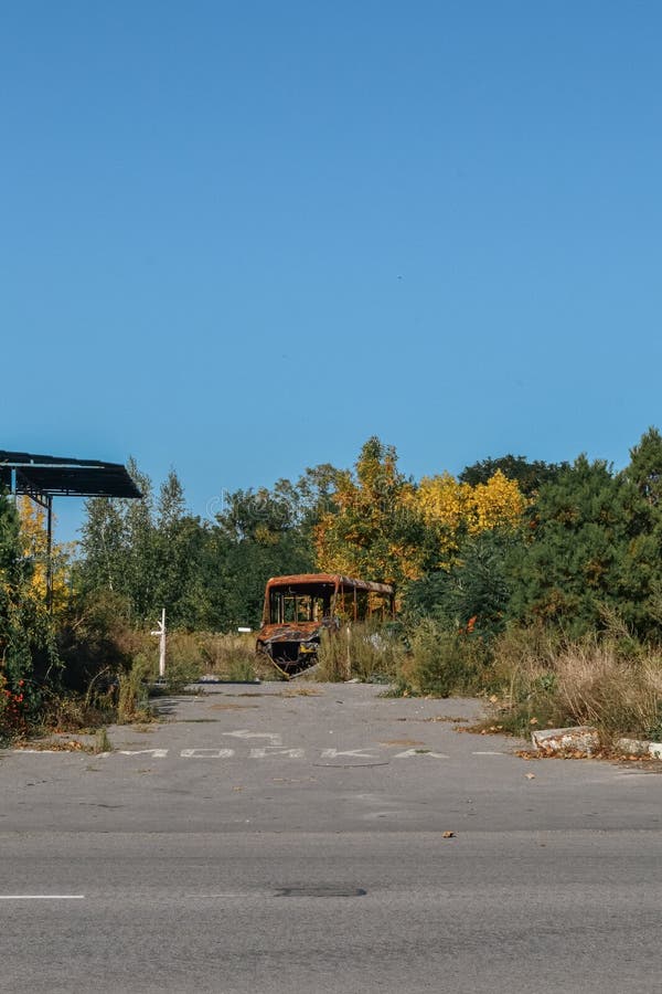 325 Hit Car Tree Stock Photos - Free & Royalty-Free Stock Photos from ...