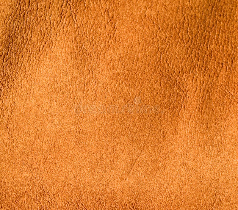 Burned Skin Leather Texture Stock Image - Image of pelt, abstract: 4483977
