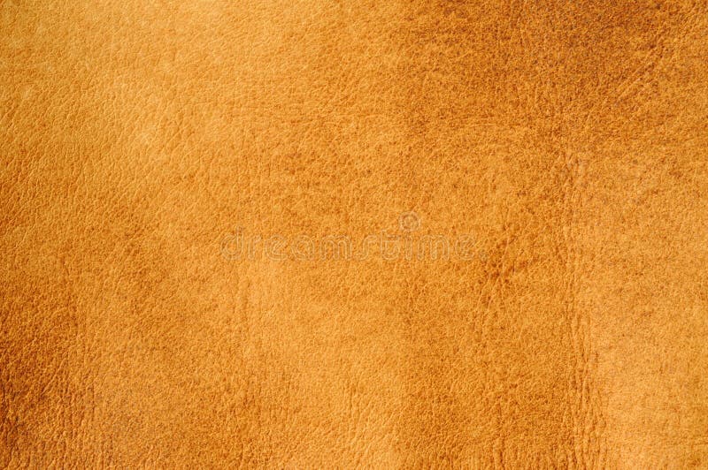 Burned Skin Leather Texture Stock Image - Image of pelt, abstract: 4483977