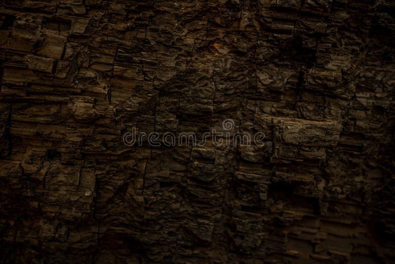 Burned Texture of Giant Sequoia Tree Stock Image - Image of charred ...