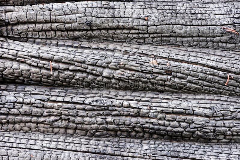 Burned Tree Texture Background. Burnt Log Stock Image - Image of ...