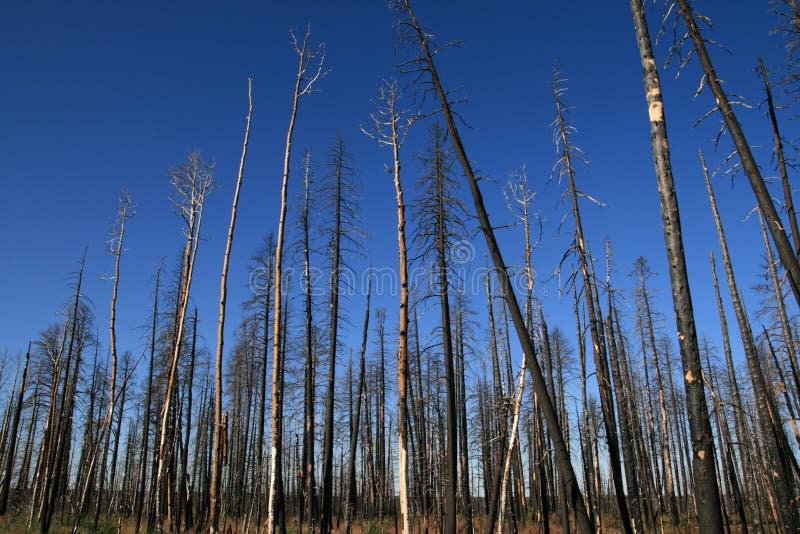 Big Waves at Storms River Mouth, South Africa Stock Photo - Image of ...