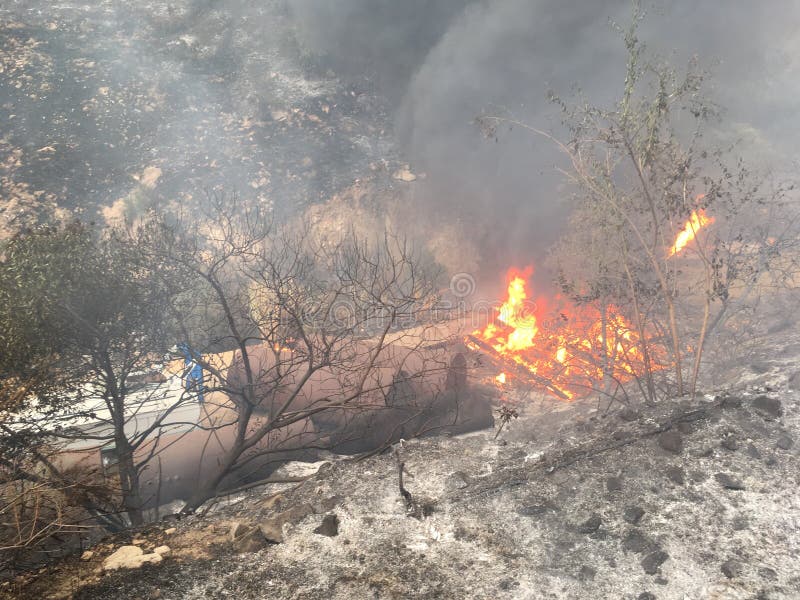 Burned Tress, End Times, End of the World, Fire, Brush Fire Editorial ...