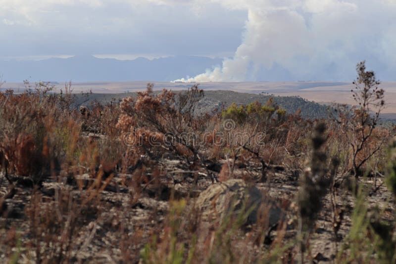 Burned Veld with Distant View of Fire Burning Stock Image - Image of ...