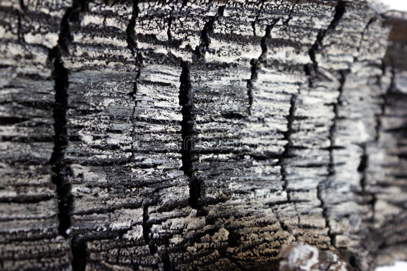 Burned Wood, Gray Beautiful Ash, Texture Close Up Stock Photo - Image ...