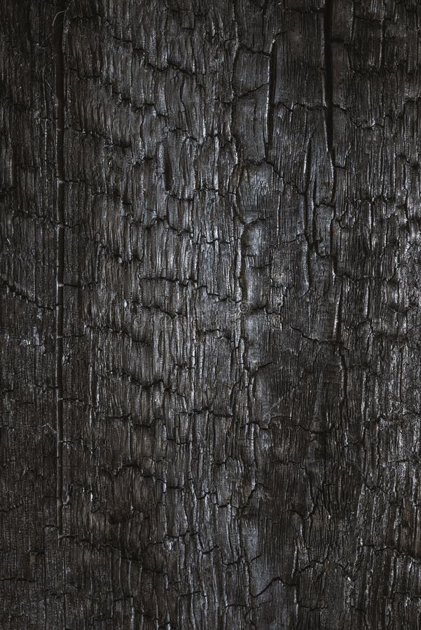 Burned wood texture stock photo. Image of burned, plank - 351331998