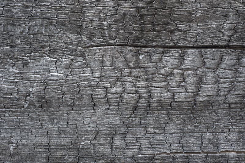 Burned wood texture stock photo. Image of crack, horizontal - 101346858