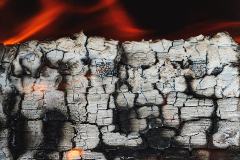Burned Wooden Log with Ashes Texture Stock Image - Image of backdrop ...