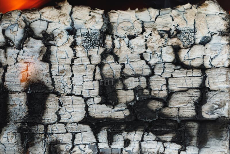 Burned Wooden Log with Ashes Texture Stock Photo - Image of abstract ...