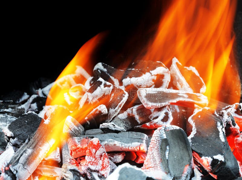 Burning stock photo. Image of trees, forest, fire, burning - 26380540