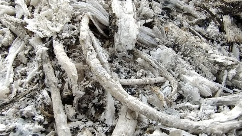 Burning ash combustion stock image. Image of combustion - 205252745