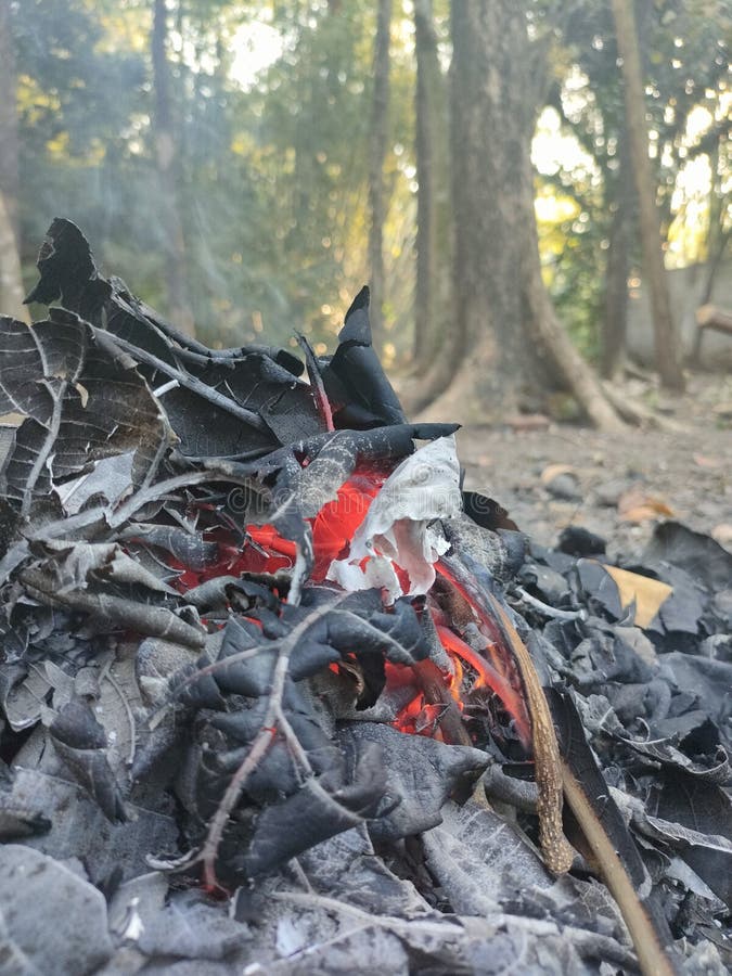 Burning into ashes stock photo. Image of person, sculpture - 262156936