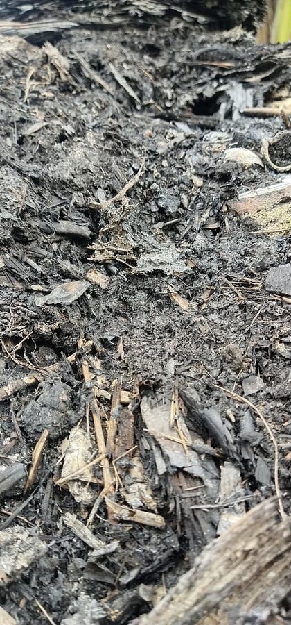 The Burning Ashes Combustion Residue Stock Image - Image of burning ...