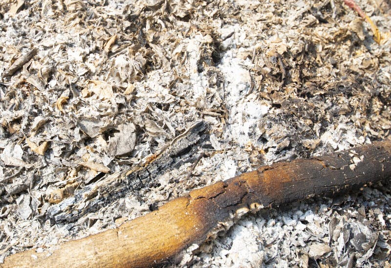 Burning Ashes of Dry Leaves that is Polluting the Environment Stock ...
