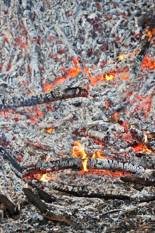 The burning ashes stock photo. Image of outdoor, energy - 48544908