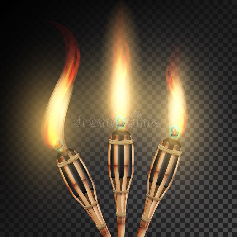 Burning Beach Bamboo Torch. Burning in the Dark Transparent Background ...