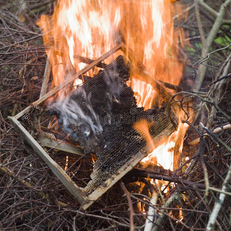 Burning Bee Frame in a Bonfire Stock Image - Image of temperature ...