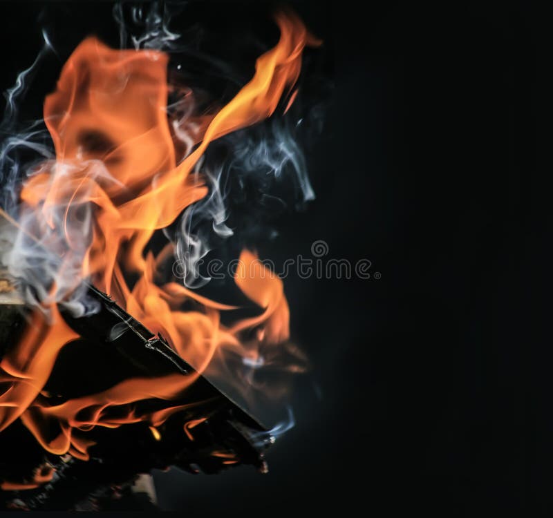 Burning birch firewood stock photo. Image of purple, outdoors - 40591530