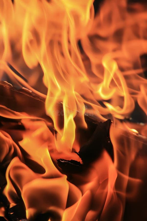 Burning birch firewood stock photo. Image of furnace - 72727574