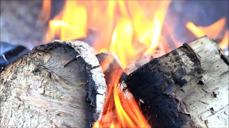 Birch Wood Piled Up in a House is Burning in the Fireplace Hearth Stock ...