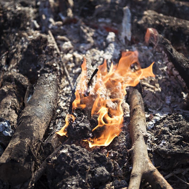 A Burning bonfire close up stock image. Image of warm - 51148937