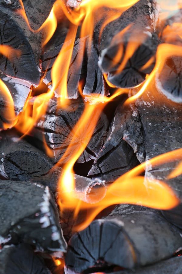 Bonfire Coals Fire Flame Hot Stock Photo - Image of flame, bonfire ...