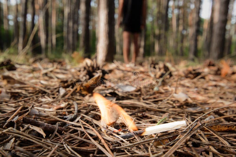 Burning Bonfire in a Forest May Cause Forest Fire Stock Photo - Image ...