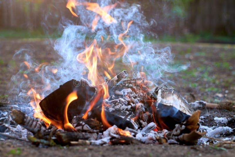 Bonfire of the Logs on the Rocks Stock Photo - Image of wood, stones ...
