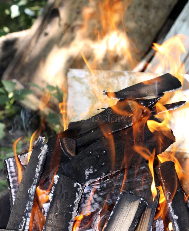Burning Bonfire Outdoor on the Summer Stock Photo - Image of open ...