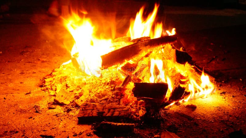 Burning bonfire stock photo. Image of camping, logs, floor - 53479970