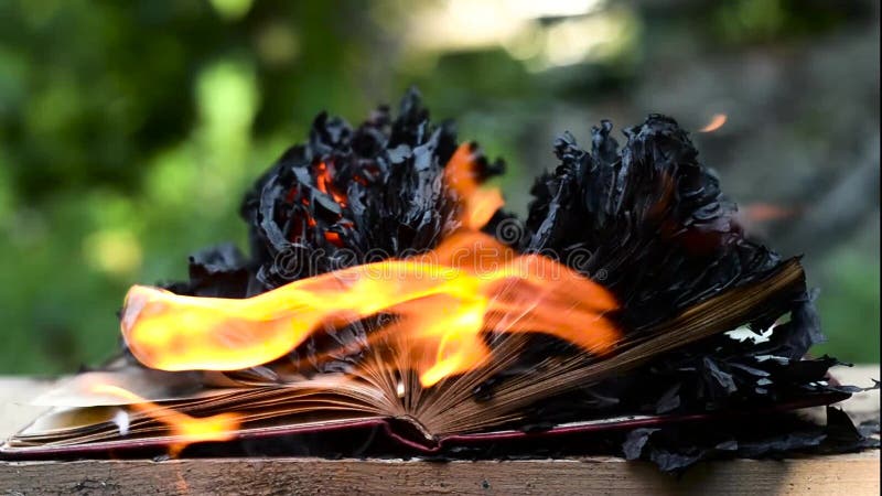 Burning Book on Fire Flames Stock Footage - Video of smoke, black ...