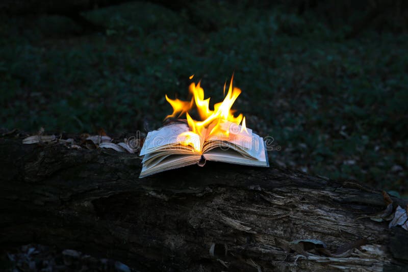 Burning Book on Fire Outdoors. People Don`t Like Reading Stock Photo ...