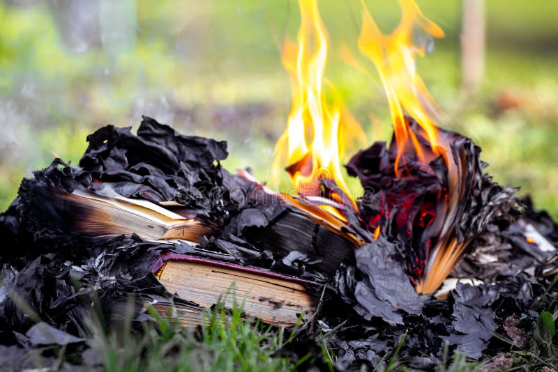 Burning Books stock photo. Image of dropping, books, falling - 1997486