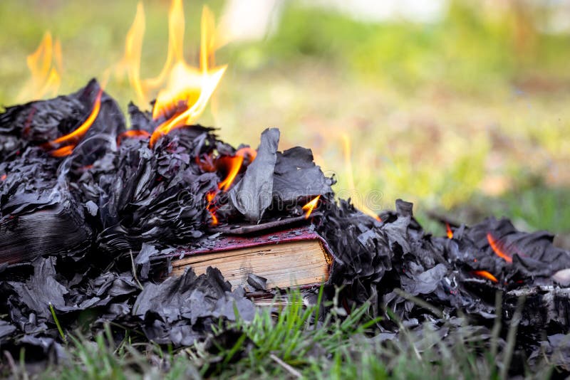 Burning Books stock photo. Image of dropping, books, falling - 1997486
