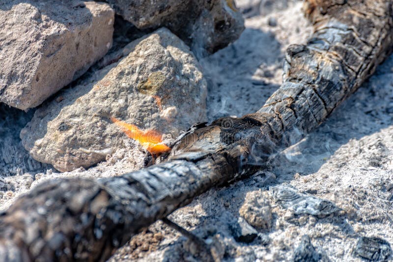 Burning Branch in a Campfire Stock Photo - Image of death, bright ...