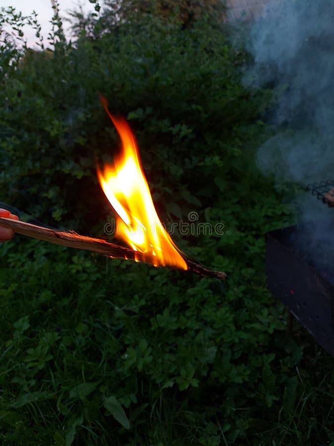 Burning branch in my hand stock photo. Image of hand - 204456790